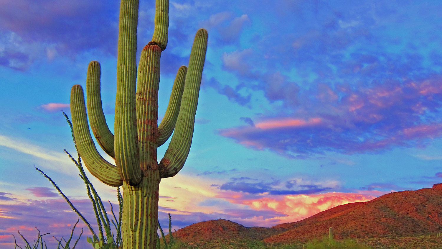 Boulder Canyon | A Fairfield Homes Community